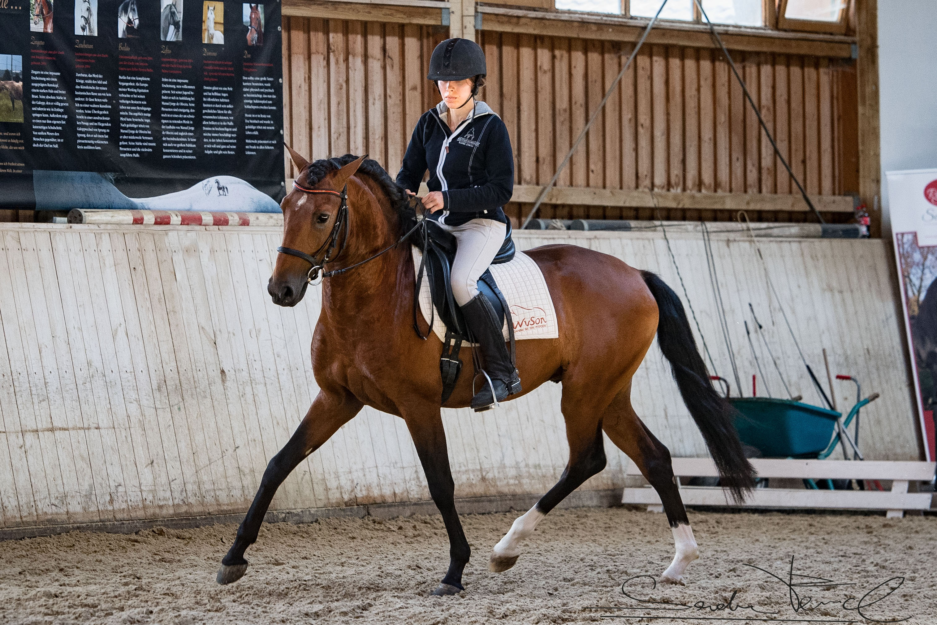 About Me – Maria Cooke