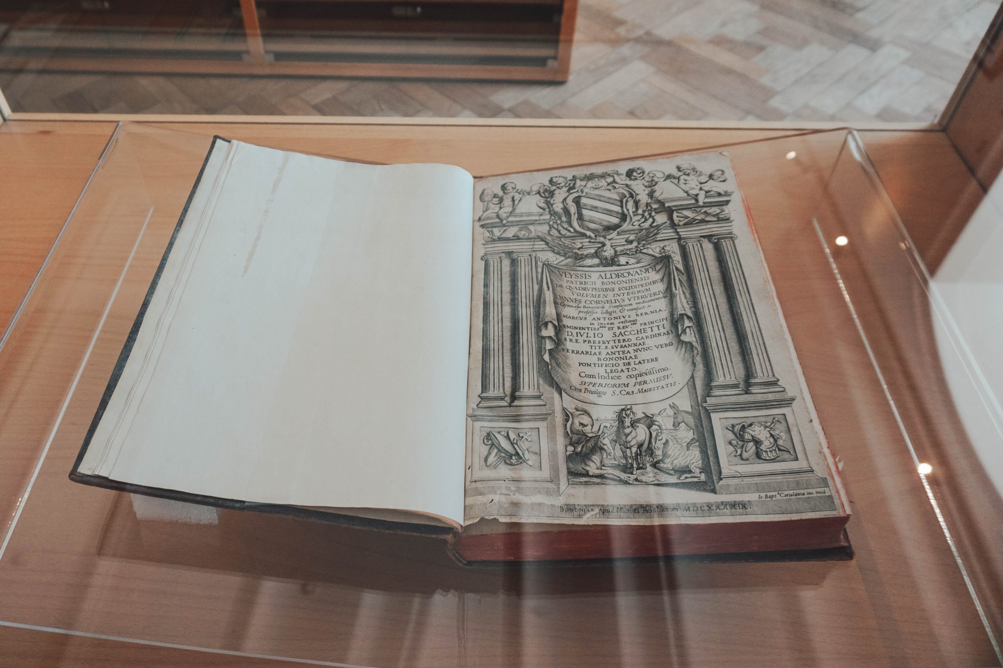 The Library of Equestrian Art: A Unique Classical Compendium – Maria Cooke