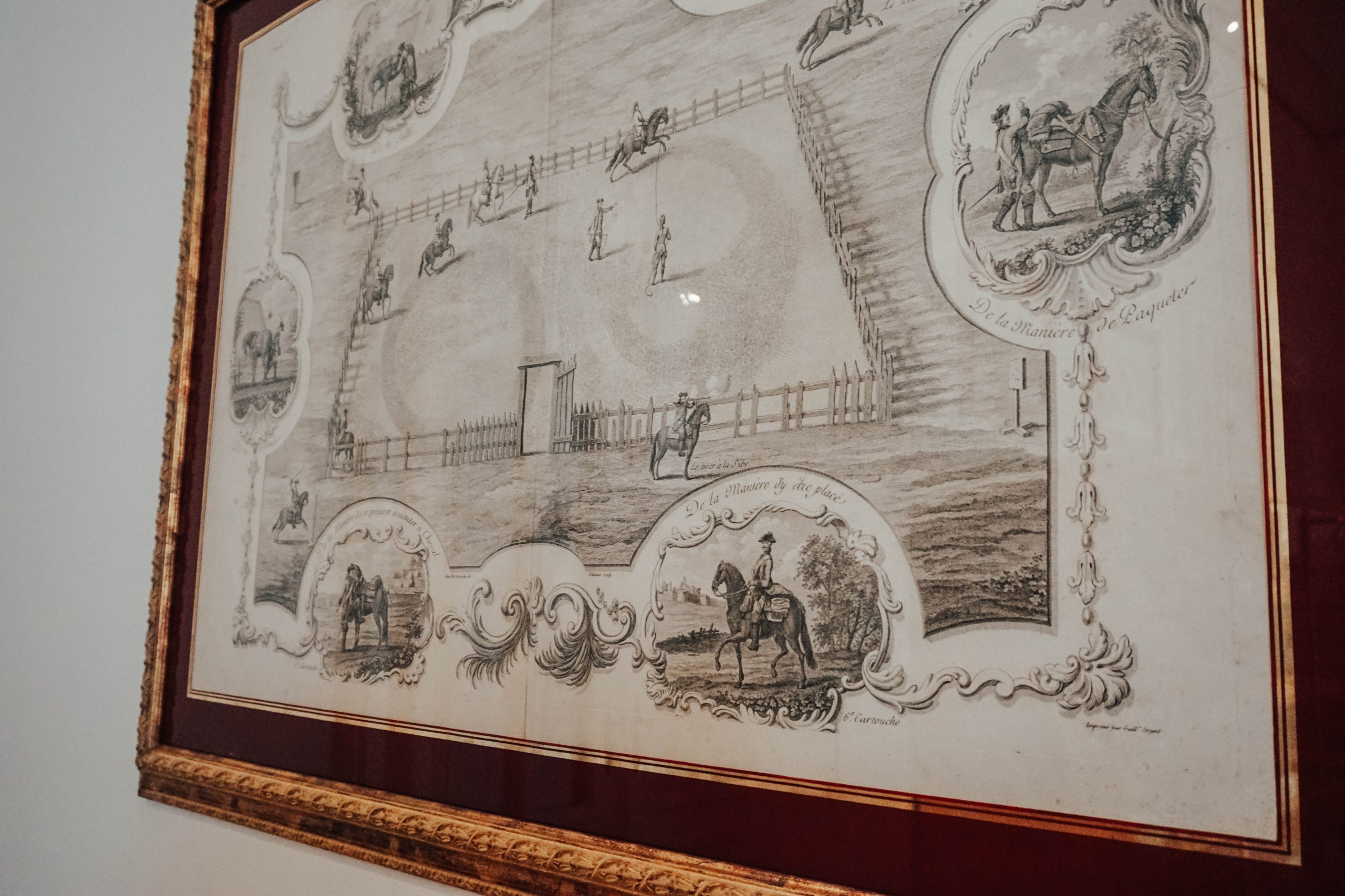 The Library of Equestrian Art: A Unique Classical Compendium – Maria Cooke