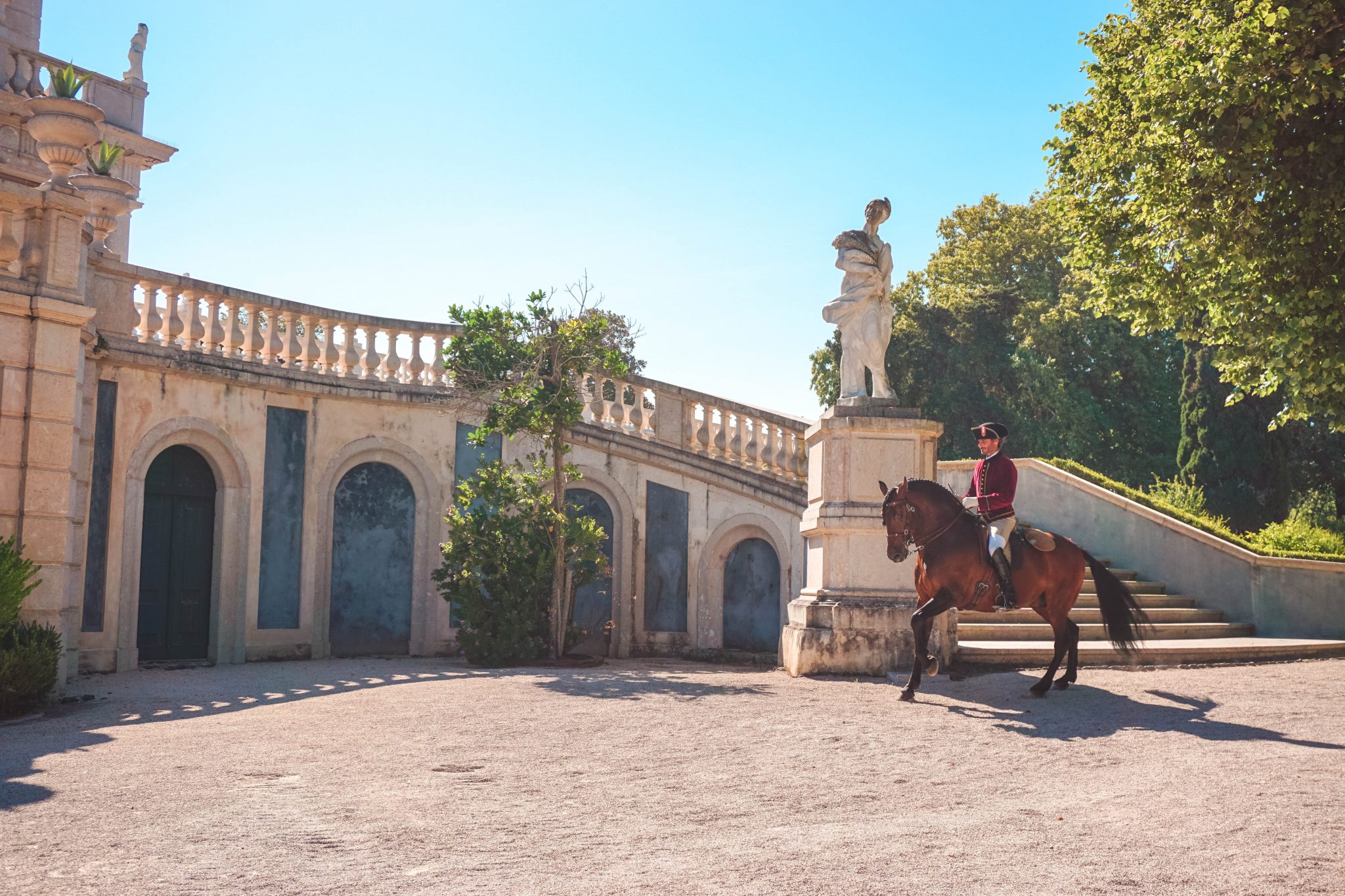 The Library of Equestrian Art: A Unique Classical Compendium – Maria Cooke