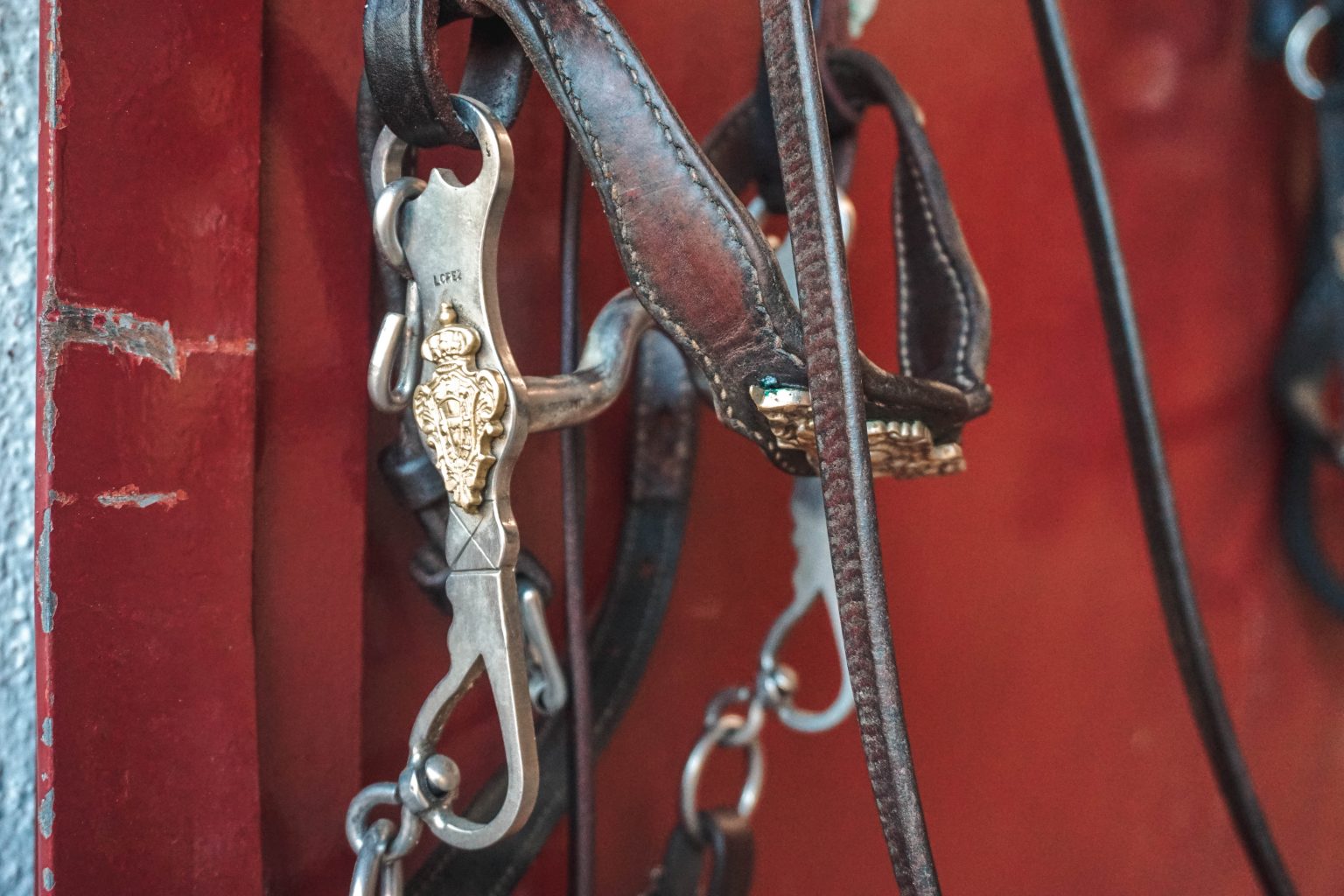 The Portuguese School of Equestrian Art: Classical Foundations for ...