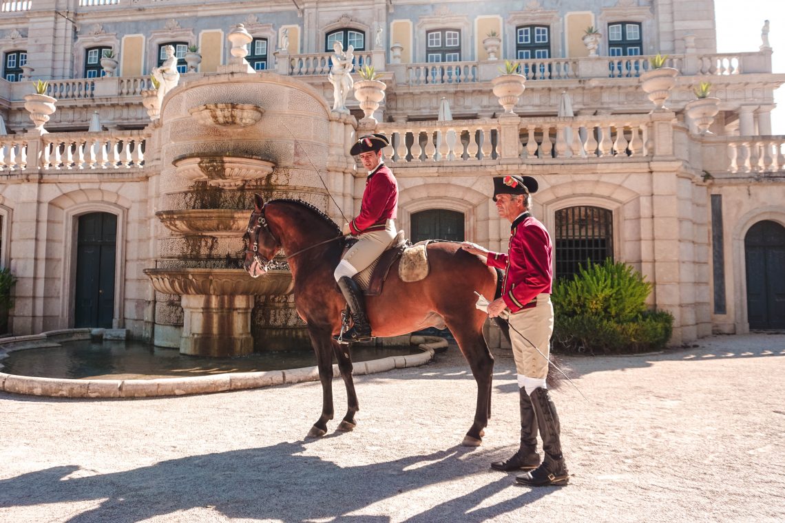 The Portuguese School of Equestrian Art: Classical Foundations for ...