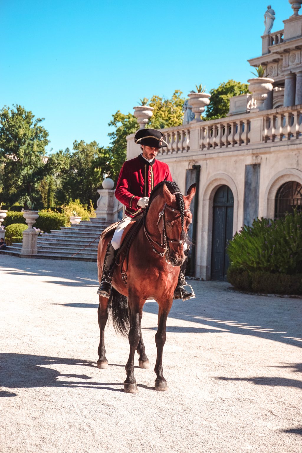 The Portuguese School of Equestrian Art: Classical Foundations for ...
