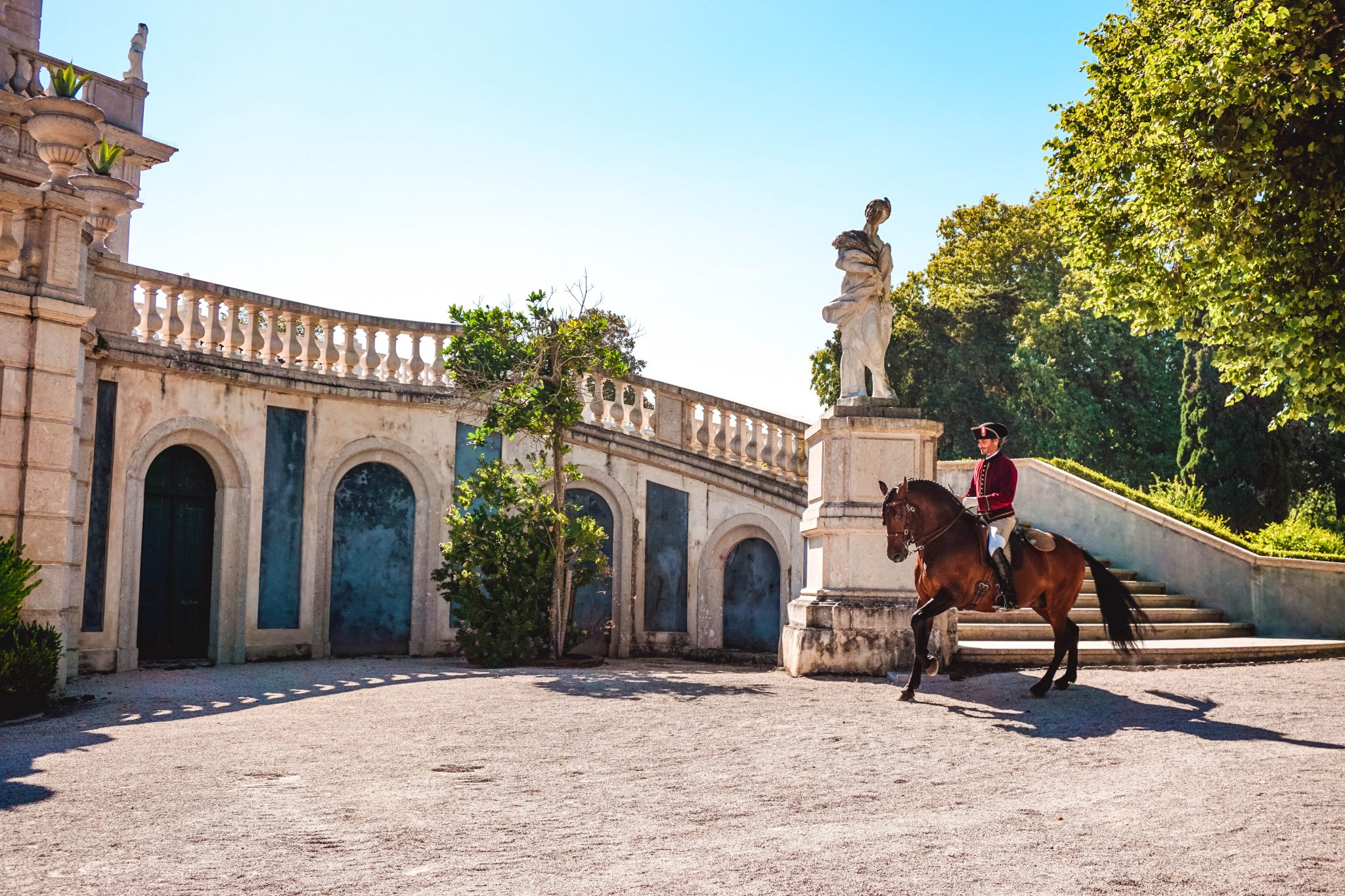 The Portuguese School of Equestrian Art: Classical Foundations for ...