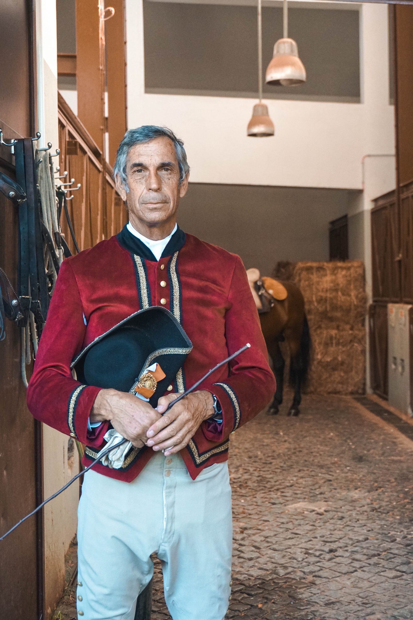 The Portuguese School of Equestrian Art: Classical Foundations for ...