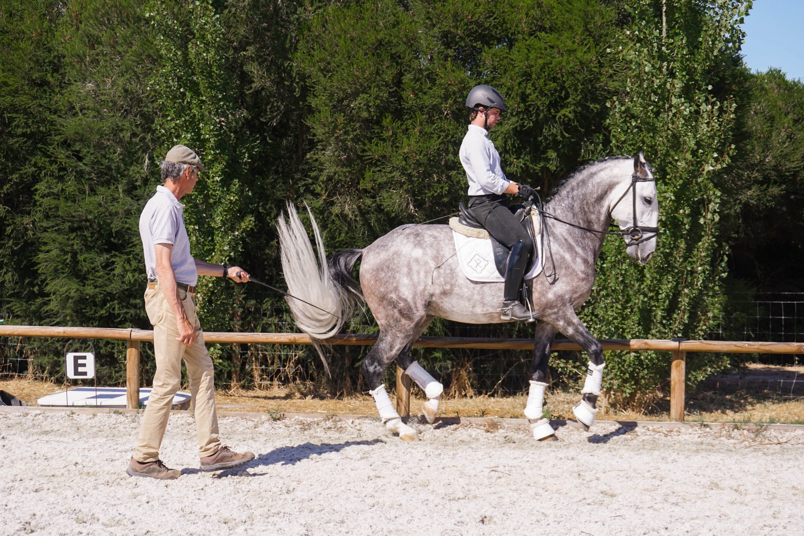 Breeds – Maria Cooke