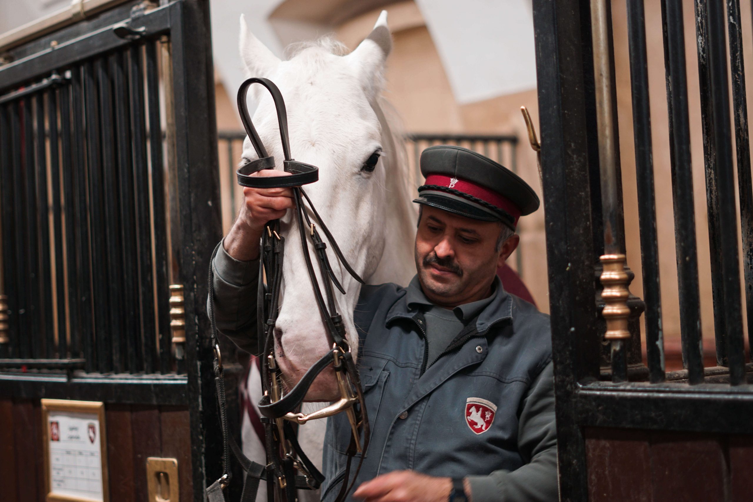 The Spanish Riding School: A Rider’s Look Inside Europe’s Oldest ...
