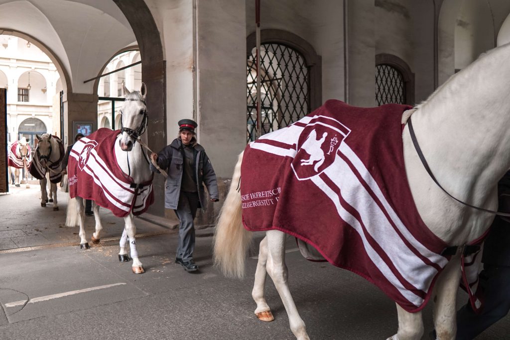 The Spanish Riding School: A Rider’s Look Inside Europe’s Oldest ...