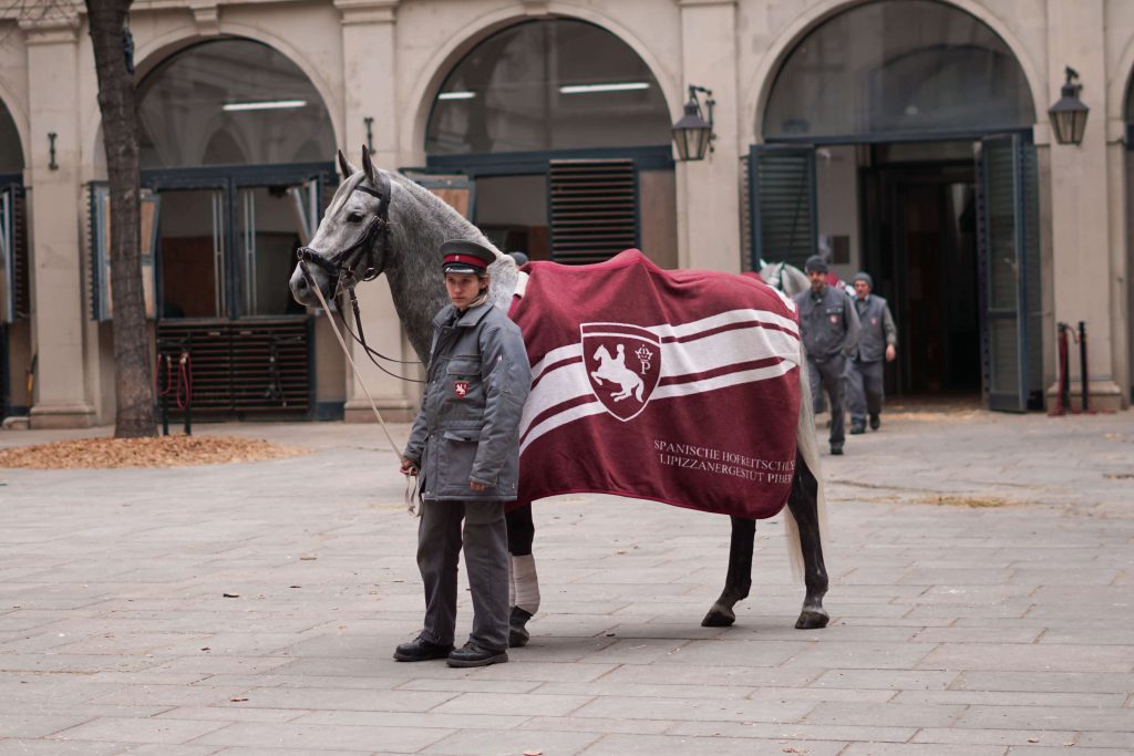 The Spanish Riding School: A Rider’s Look Inside Europe’s Oldest ...