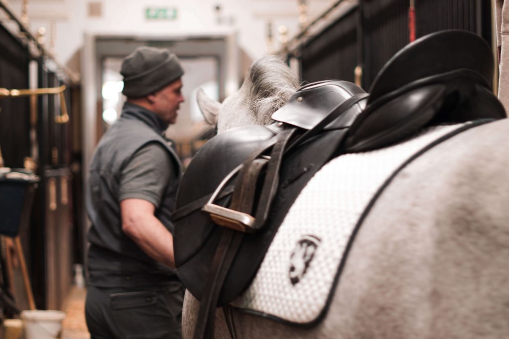 The Spanish Riding School: A Rider’s Look Inside Europe’s Oldest ...